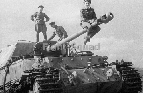 WW2 Picture Photo German Tank SAU Ferdinand destroyer 3346 | eBay