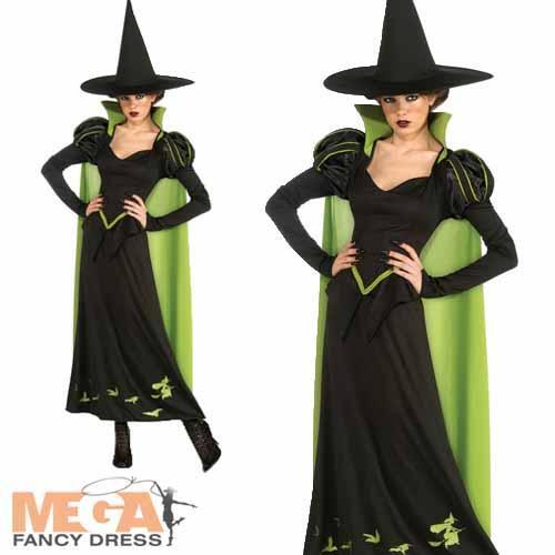 Wicked Witch Wizard of Oz Ladies Fancy Dress Character Costume Outfit ...