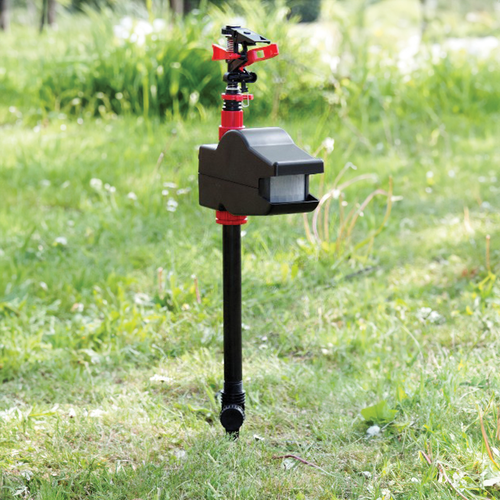 PestBye Cat Repeller Jet Spray Bird Fox Squirrel Water Deterrent ...