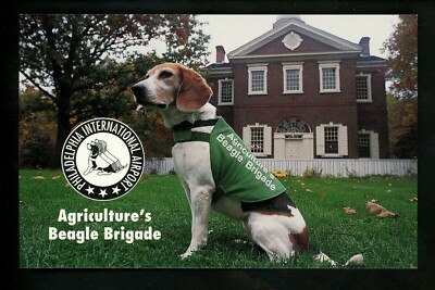 Dog postcard Agricultural Beagle Brigade Philadelphia International ...