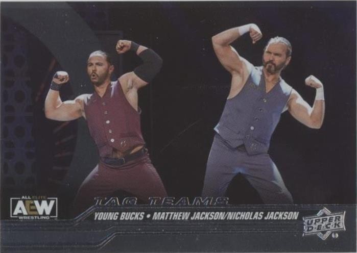 2024 Upper Deck AEW All Elite Wrestling - Tag Teams Matthew Jackson ...