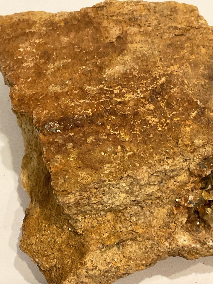 Excellent Colorado Rich Gold Ore Rock Specimen chunk 510g See gold ...