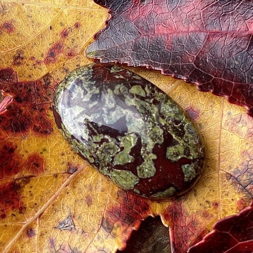 7.1g Dragons Blood Jasper 1 1/8”x1 3/4” Oval Cabochon Red & Green ...