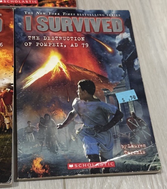 I SURVIVED Paperback Books Series Set Historical Lauren Tarshis SET OF ...
