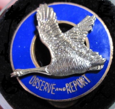 Army DI dui SB aaf aaf air force pre-WW2 12th OBSERVATION GROUP Meyer ...