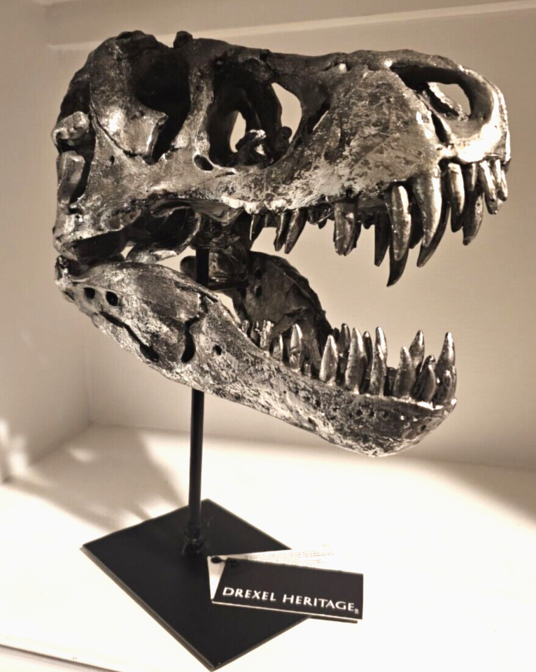 Tyrannosaurus T-Rex Silver Resin Faux Skull Fossil New | eBay
