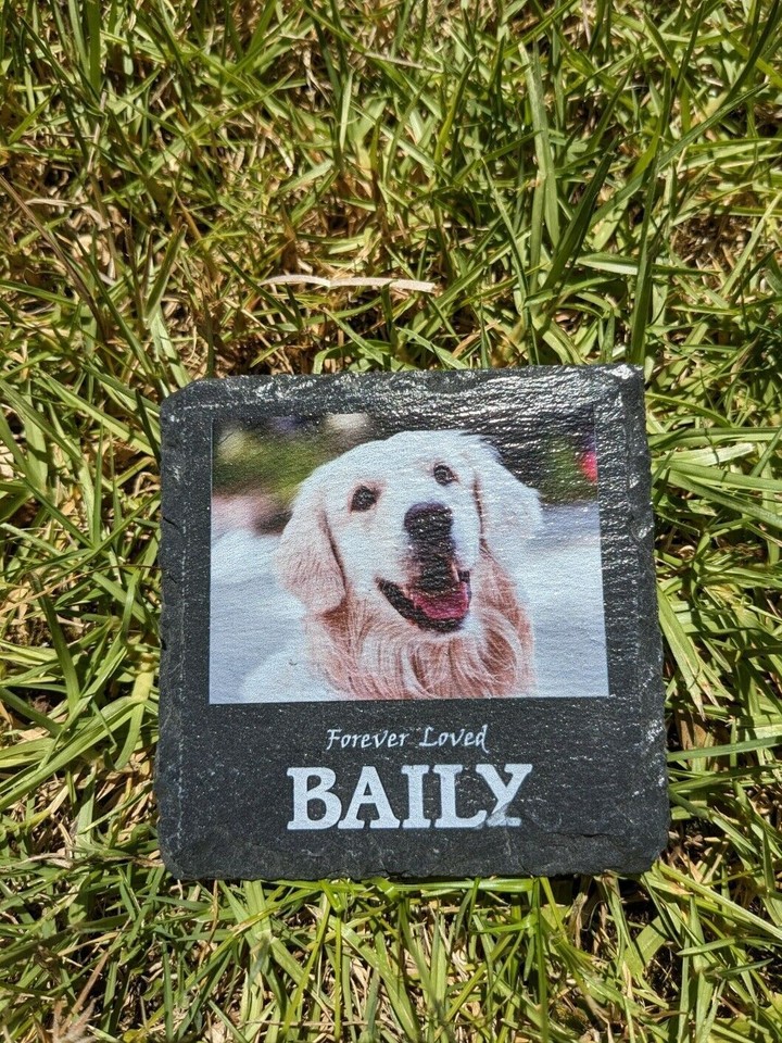 Personalised Pet RIP Memorial Plaque Dog Cat Bird Custom Grave stone UV ...