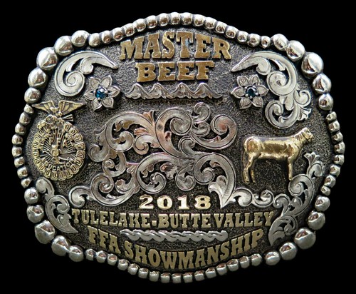 Master Beef FFA Showmanship Tulelake Butte Valley Cattle Trophy Belt ...