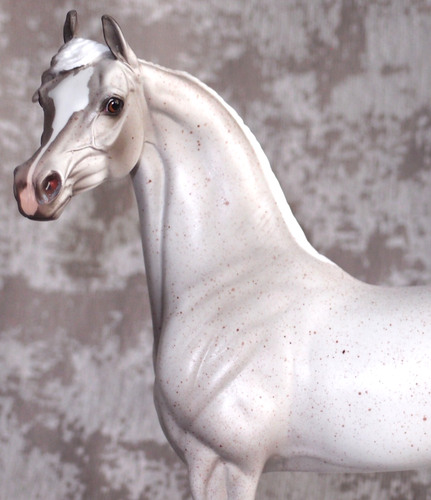 Peter Stone Model Horse BFF - Fleatbit Arab with Pinked Nostrils ️STUNNING ️ | eBay