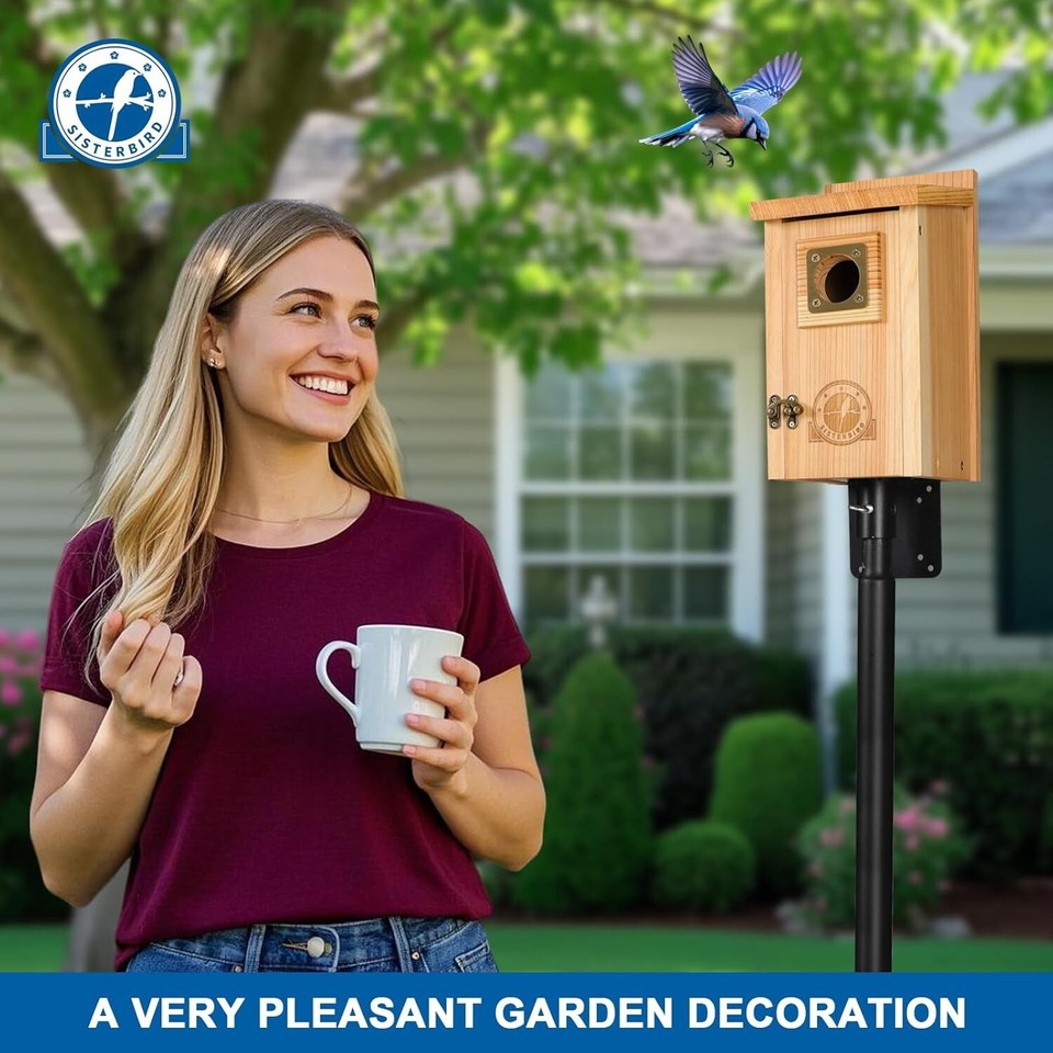 Attractive 2-Pack Cedar Birdhouses for Bluebirds & Chickadees with ...