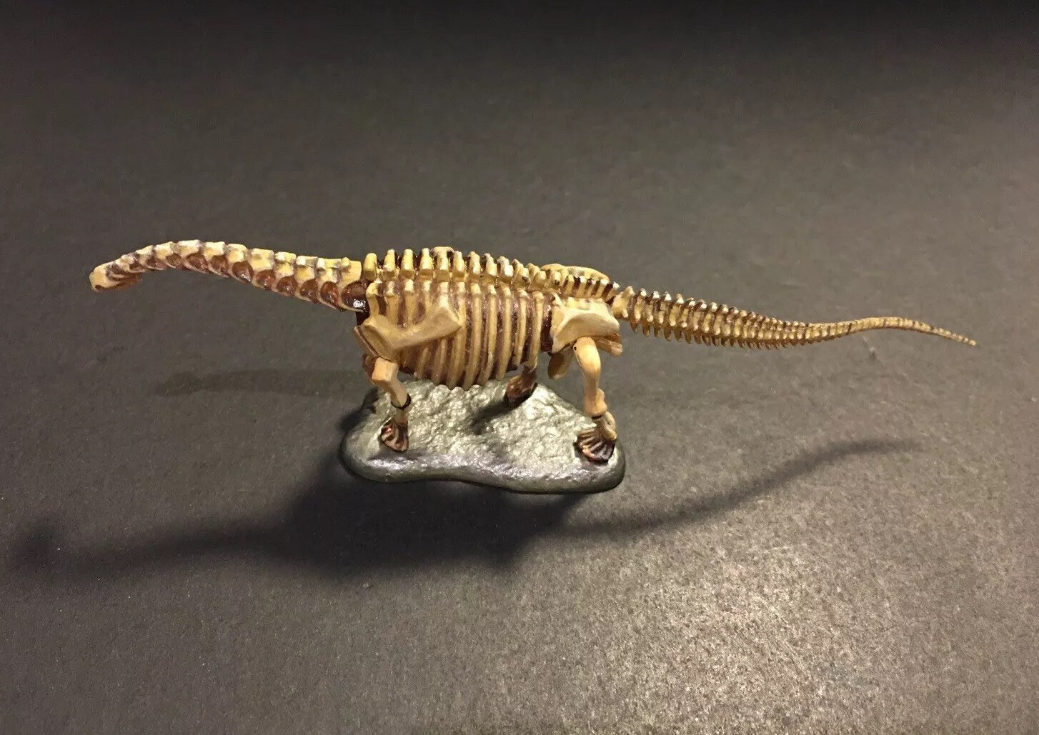 Kaiyodo Dinotales 7 Camarasaurus Skeleton Dinosaur Figure A | eBay