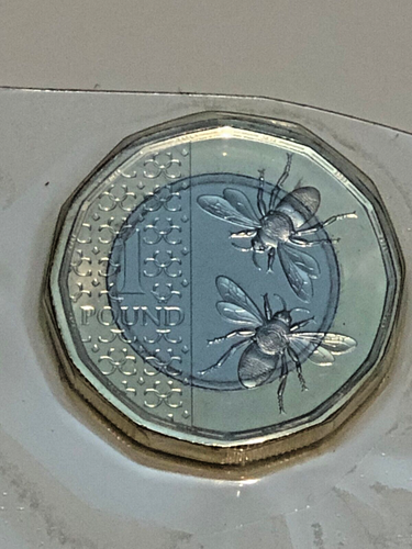 2023 £1 One Pound Coin Bees - Charles III Uncirculated UK BUNC | eBay UK