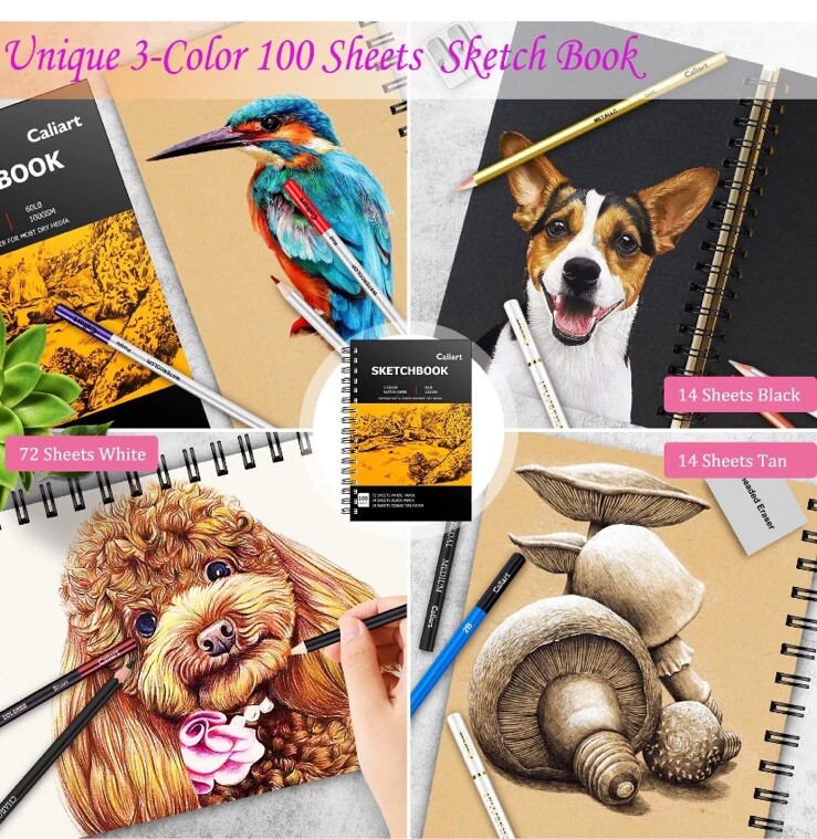 176PCS Art Supplies Sketching Kit with 100 Sheets 3-Color Sketch Book ...