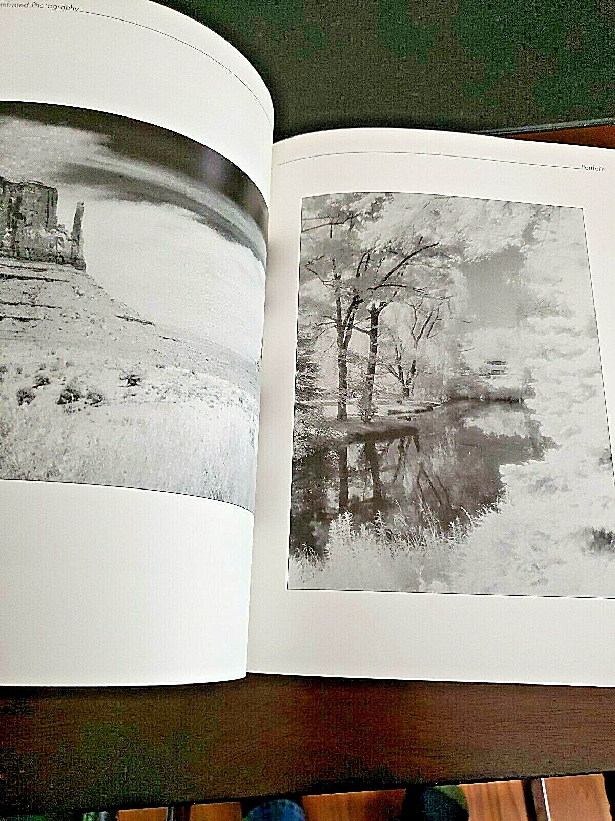 Art of Infrared Photography by Joseph Paduano (1998, Trade Paperback ...