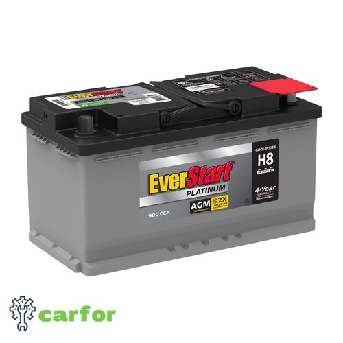 EverStart Platinum AGM Automotive Battery, Group Size H8 / LN5 / 49 12 ...