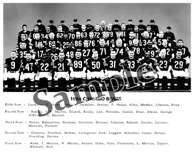 1964 Chicago Bears Team Picture With Names 8 X 10 Photo Picture | eBay