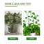 10/50PC Leaf Shape Plant Climbing Wall Clip Sticky Hook Vines Fixing ...