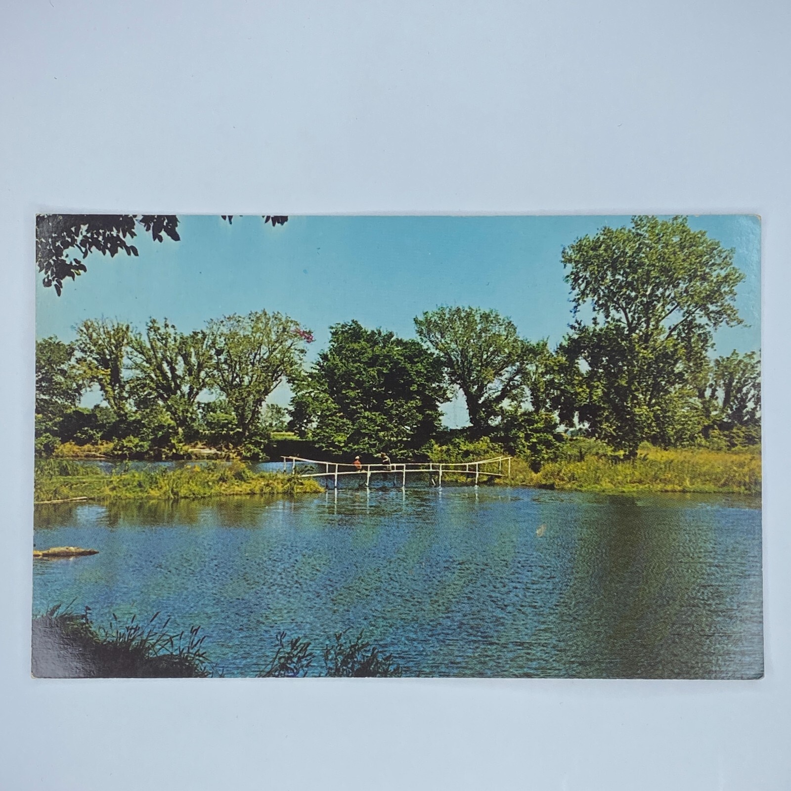 Two Rivers State Recreation Area Venice Nebraska Chrome Postcard DB UNP ...