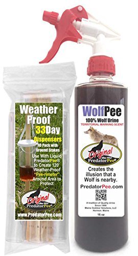 Predator Pee Original Wolf Urine -Territorial Marking Scent -16oz Spray ...