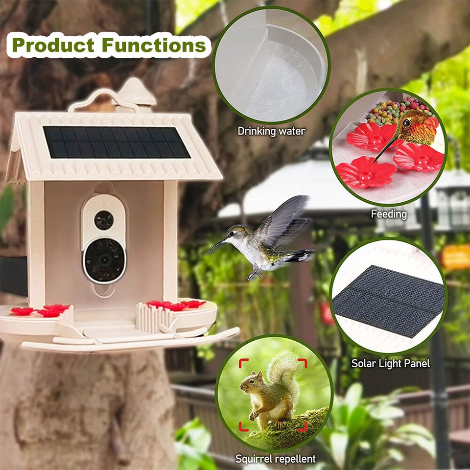 1080P WIFI Smart Bird Feeder Camera Auto Capture Bird Video IP65 ...