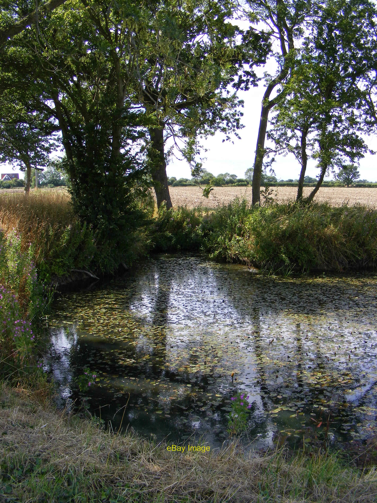 Photo 6x4 Pond off Laxfield Road Dennington Hall 4 c2013 | eBay