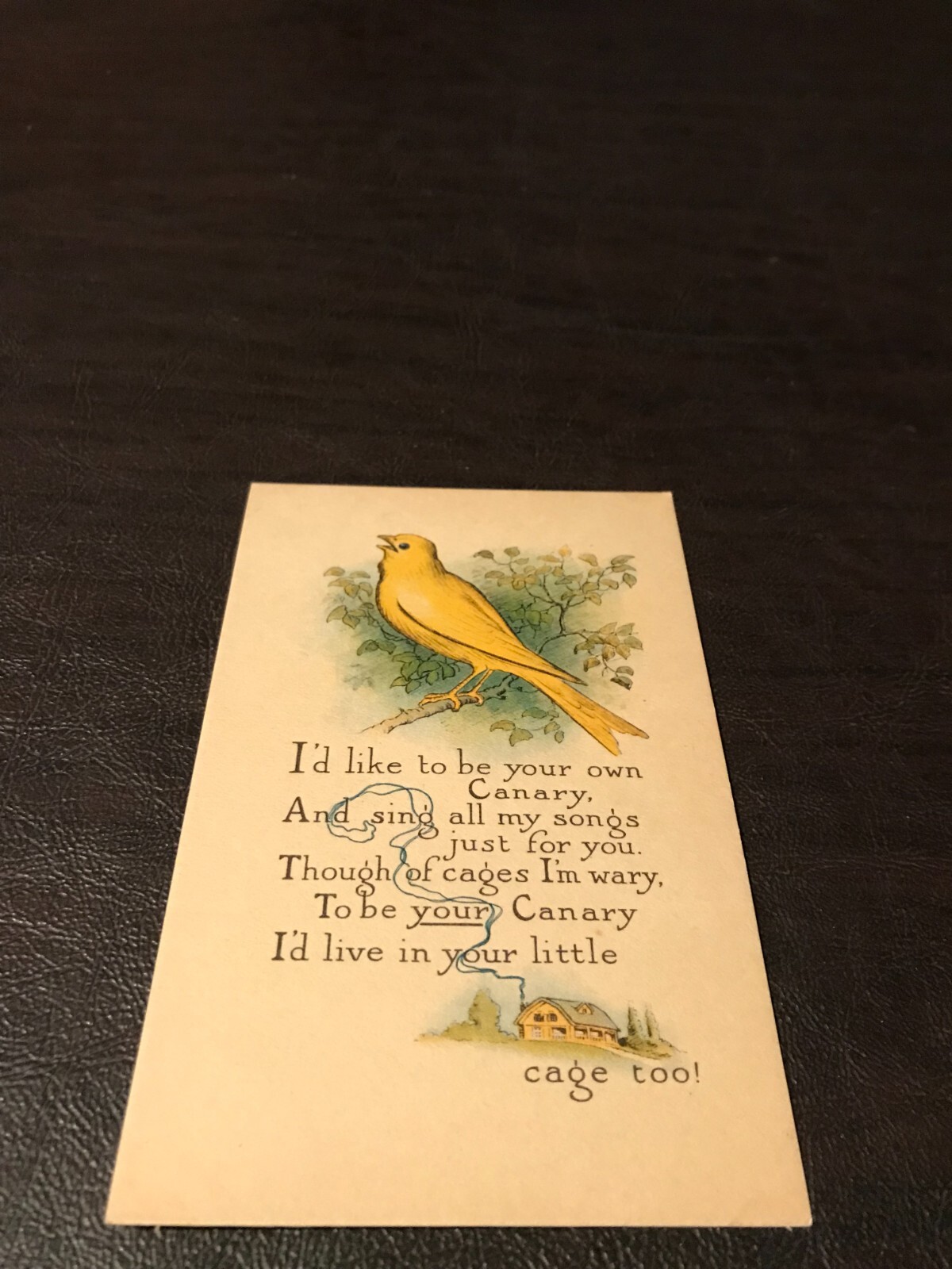 EARLY UNPOSTED POSTCARD - I'D LIKE TO BE YOUR OWN CARNARY....... | eBay