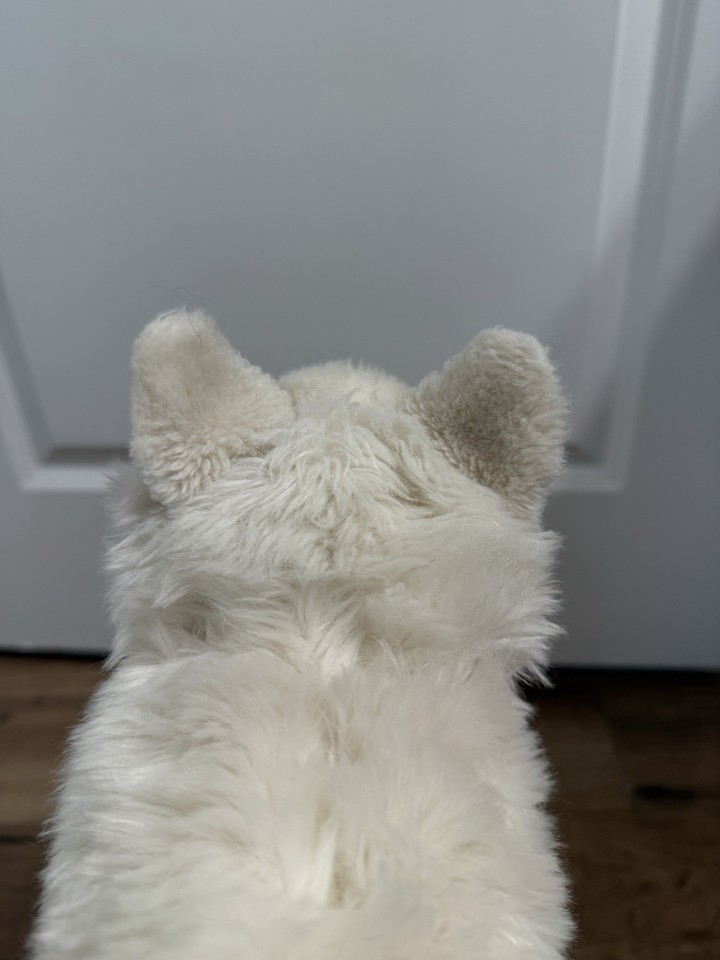 Webkinz Signature Arctic Fox | eBay