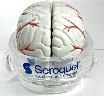 Lucite Head Skull Brain Model Medical Pharmaceutical Science Display ...