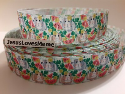 Grosgrain Ribbon Guinea Pigs Watermelon Rodents Pets Furry Creatures, 7 ...