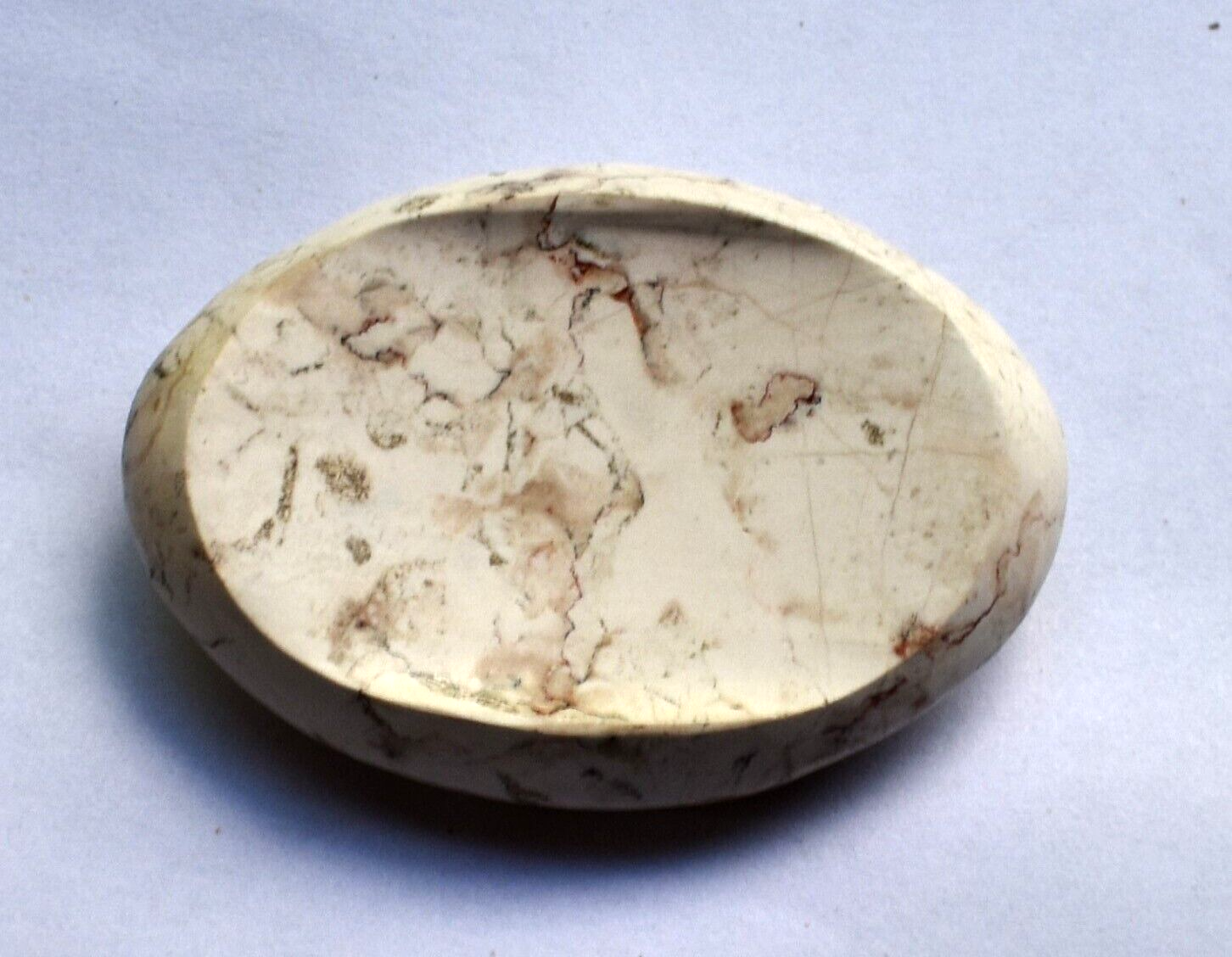 Shellfish Fossil Ancient Seabed Blue Ridge Mountains North Carolina ...