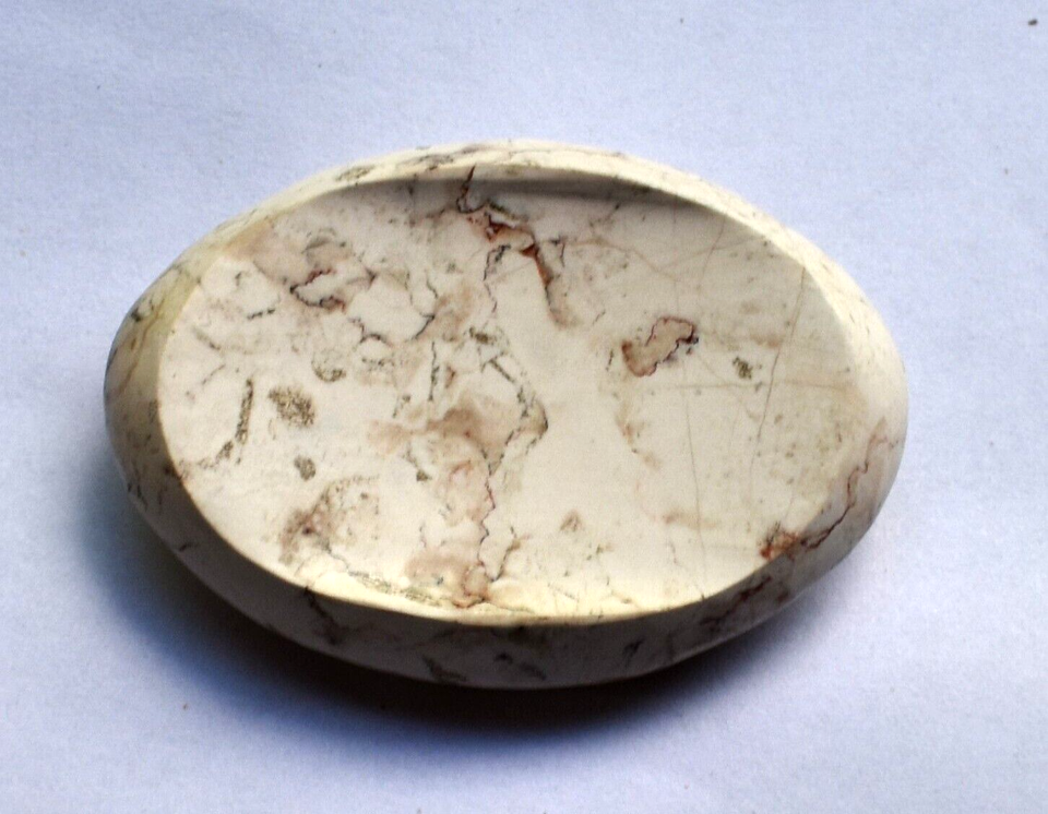 Shellfish Fossil Ancient Seabed Blue Ridge Mountains North Carolina ...