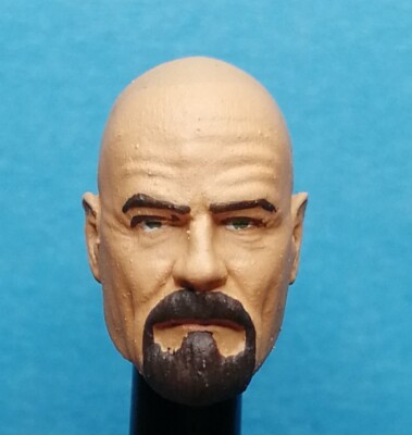 251 walter white , breaking bad - custom HEADCAST FOR ACTION FIGURE | eBay