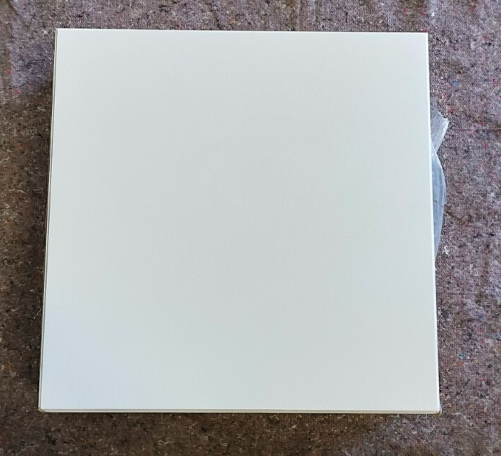Staple Ceiling Tiles 12x12