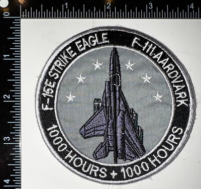 USAF 308th Fighter Squadron F-15E Strike Eagle F-111 Aardvark 1000 ...