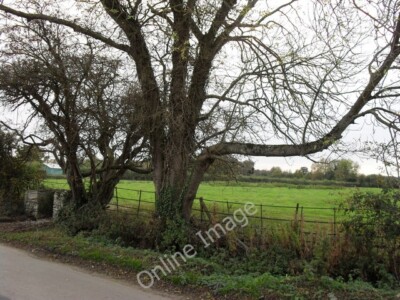 Photo 6x4 Fence and trees beside the road Broadwell/SP2503 In Broadwell ...