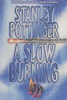A Slow Burning by Stanley Pottinger (Paperback, 1999) for sale online ...