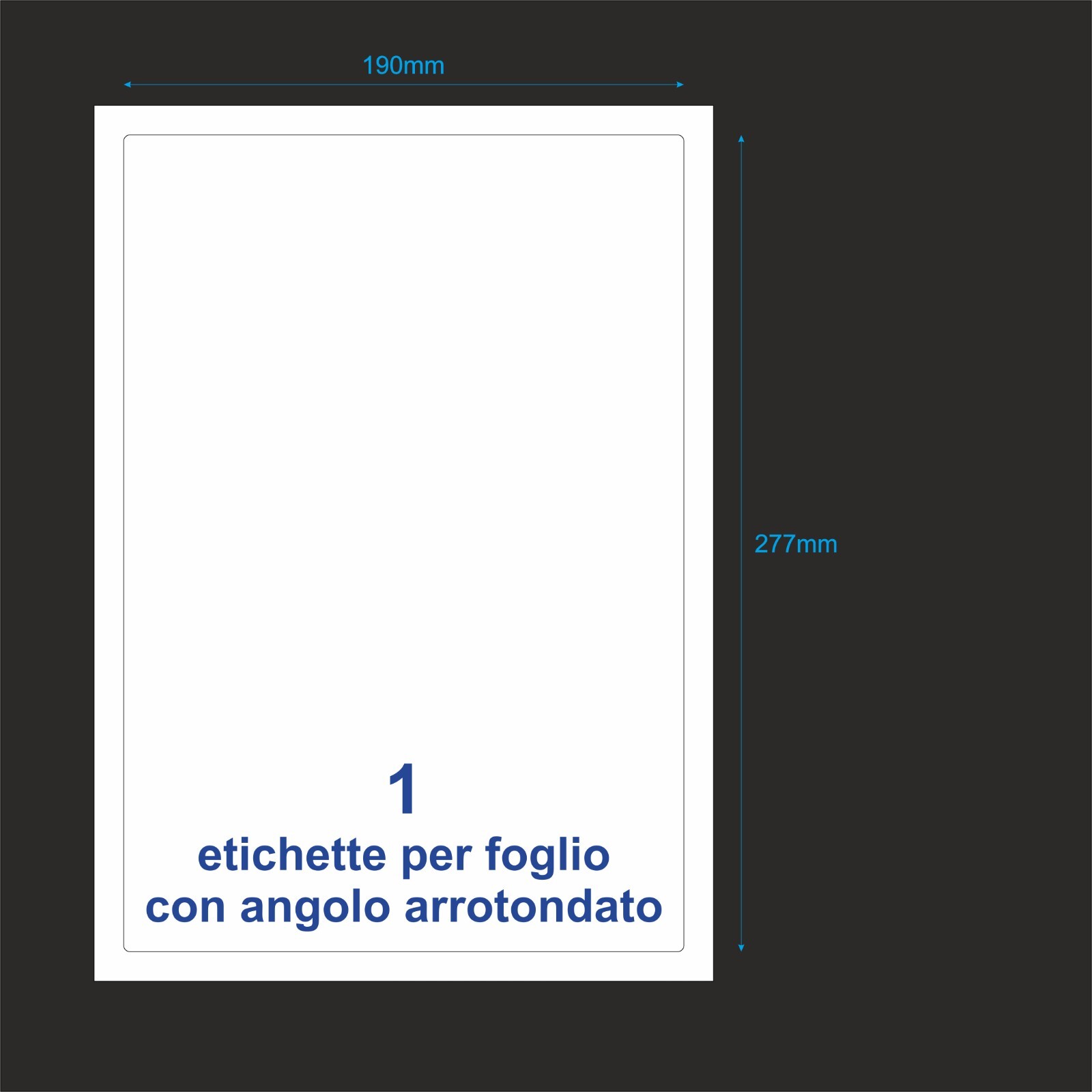 Etichette autoadesive formato A4 scatola 100 fogli vari formati ...