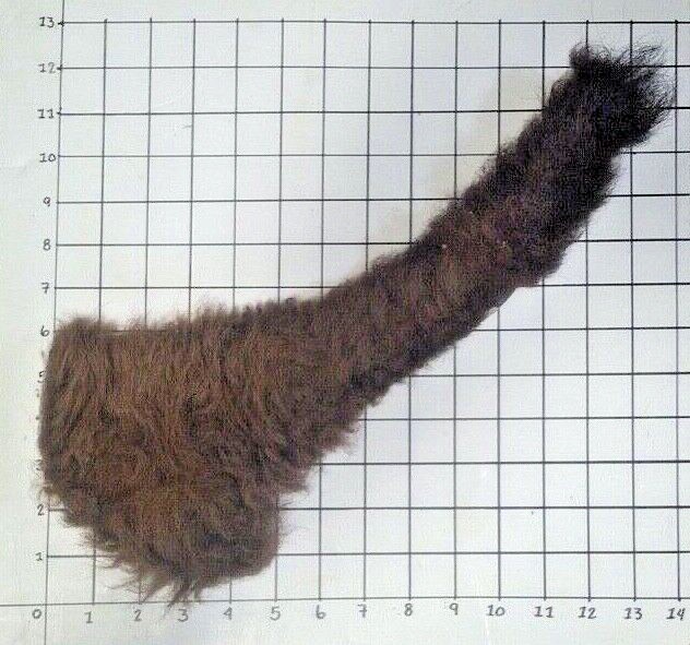(Small Sizes) Premium Bison Buffalo Scrap Fur Hide Leather New Tanned ...