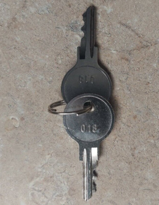 Custom America Round Head 018 Key Pair for APEX & APEX Pro Cash Drawer ...
