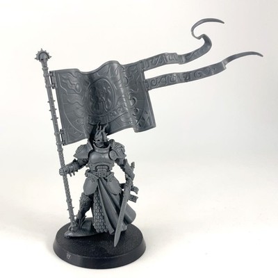 X1 Knight-Vexillor (Legend) Plastic warhammer aos P-00JJP | eBay