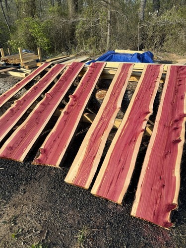 2 36” Eastern Red Cedar Wood Live Edge Slabs Rustic Vintage Craft Blanks | eBay