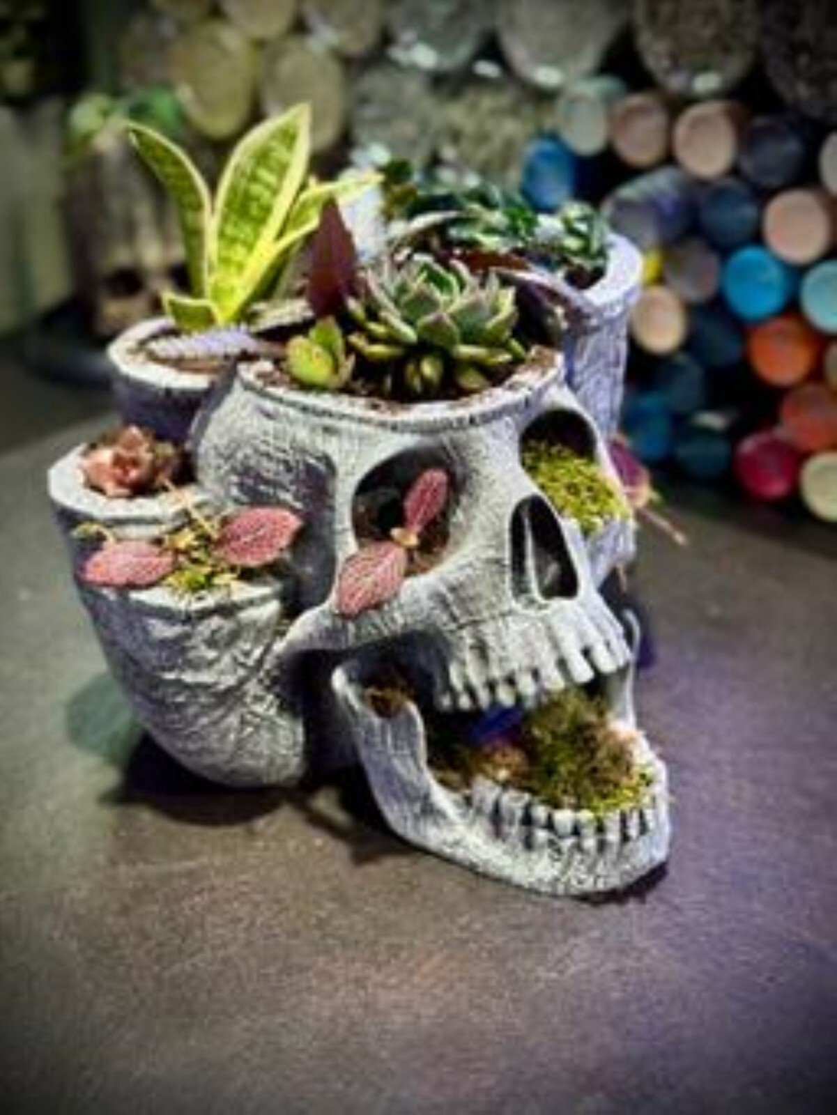 Skull Garden Gothic Skull Indoor Planter Pot with Multiple Plant Spots