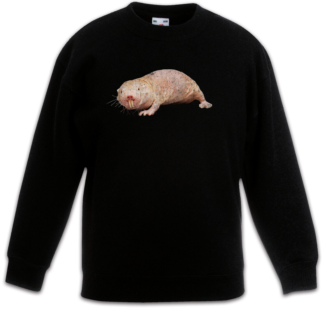 Naked Mole Rat Kids Boys Pullover Brooklyn Fun Jake 99 Nine-Nine Gina ...