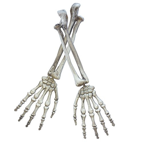 One Pair Halloween Plastic Skeleton Arm Life Size Halloween Props | eBay