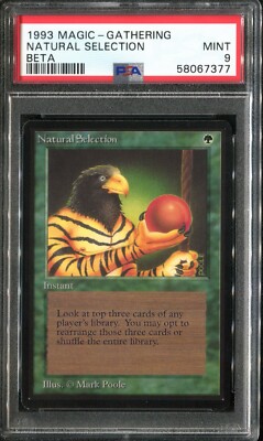 PSA 9 1993 MTG Magic The Gathering Beta #213 Natural Selection Pop20 | eBay
