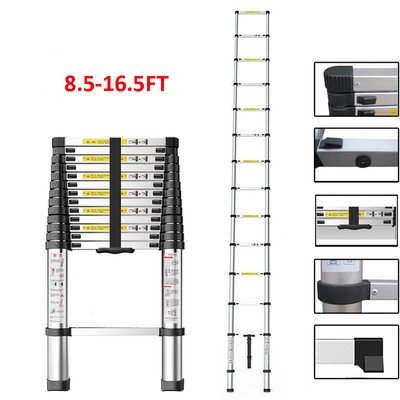 Ladders, Scaffold, Platforms - 16 Ft Ladder