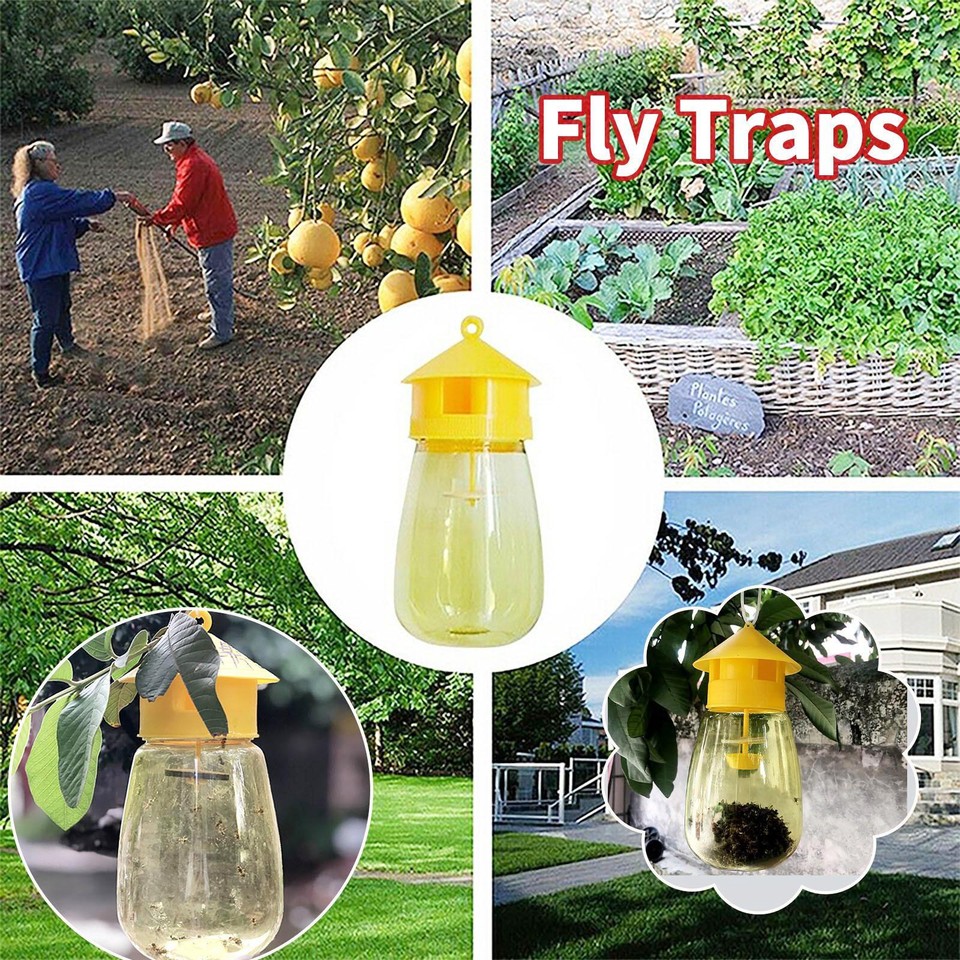 Reusable Fruit Fly Trap Killer Yellow Cage Drosophila Trap Fly Catchers ...