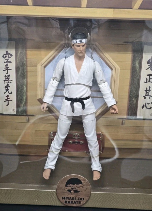 SDCC 2021 EXCLUSIVE Diamond Select COBRA KAI DOJO Action Figure Box Set ...