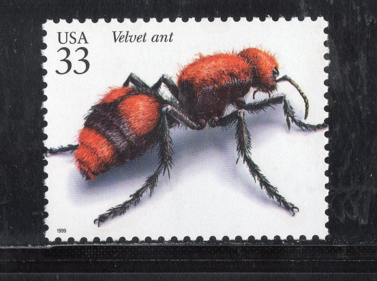 3351i * VELVET ANT * U.S. Postage Stamp MNH | eBay