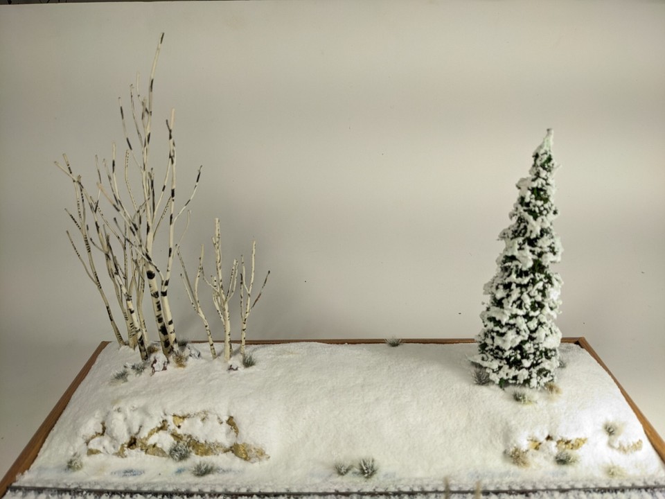 HO Scale DISPLAY DIORAMA: Snowy Winter Landscape w a few Pines & Bare ...